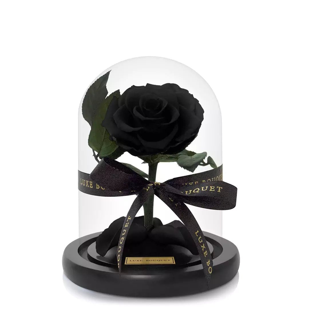 Mini Everlasting Rose Dome - Black