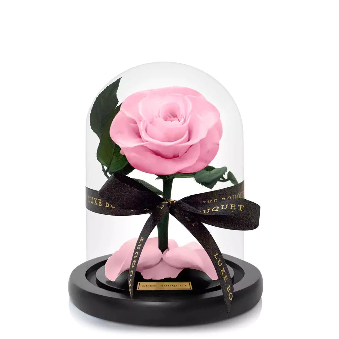 Mini Everlasting Rose Dome - Pink